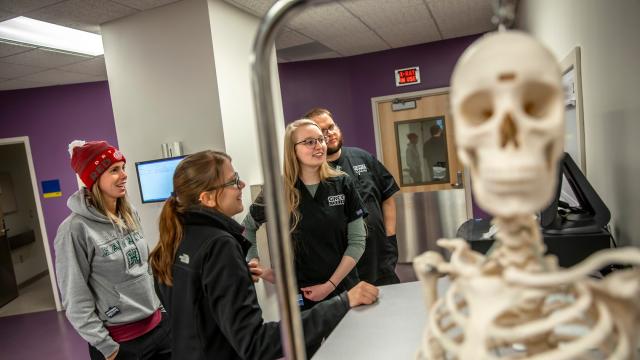 Radiologic Technology, A.A.A.S. | Grand Rapids Community College